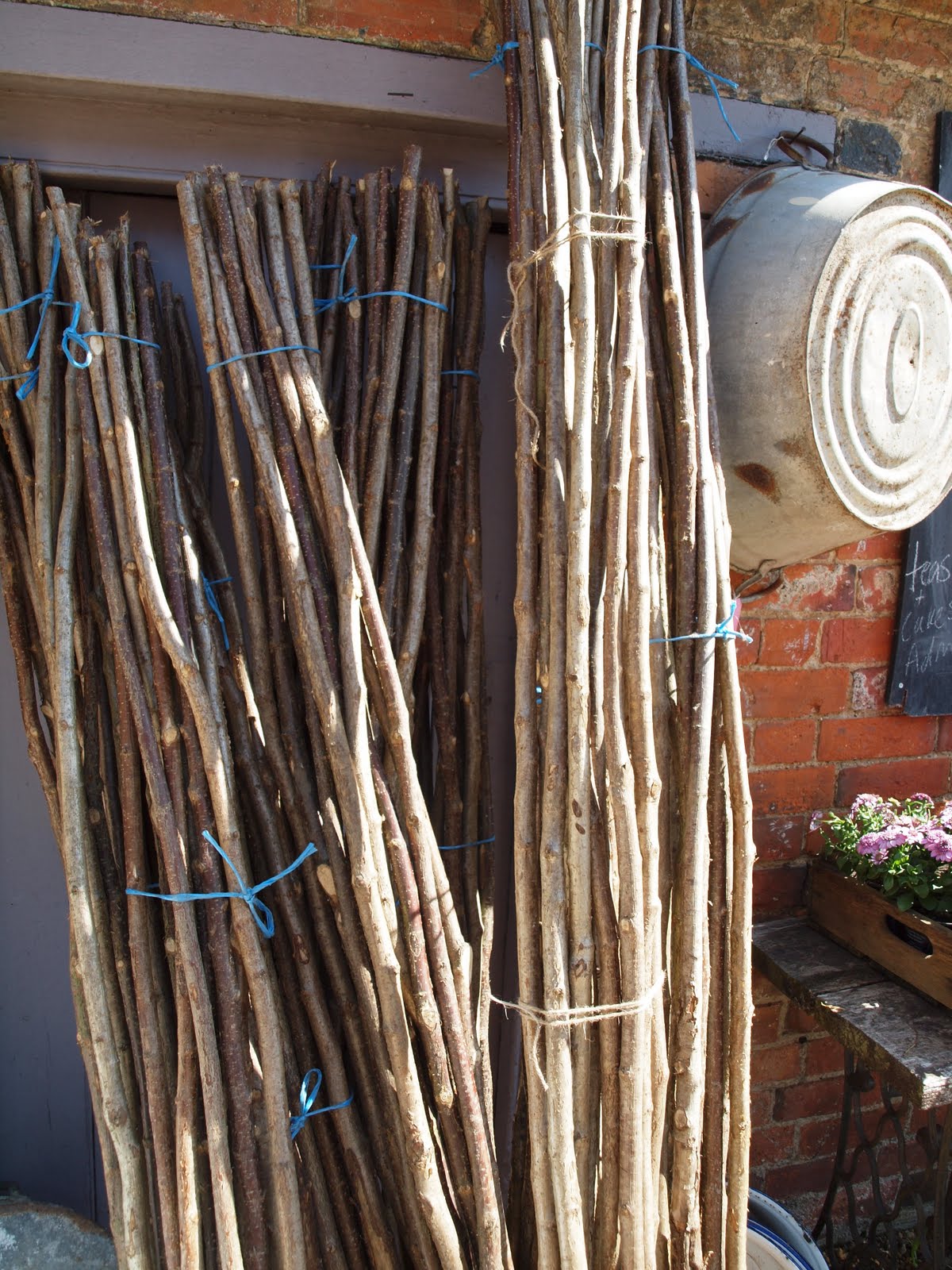 Foxtail Lilly: May 2011