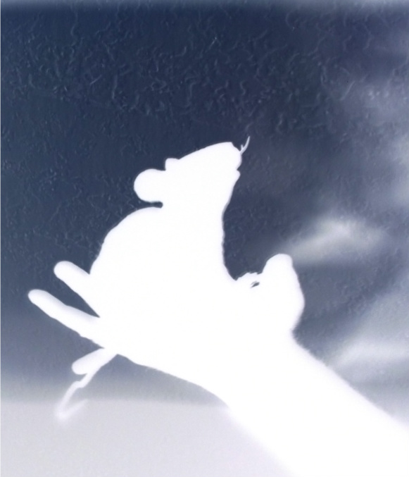 Crime by Farrell Hamann: Death by old cashew nut