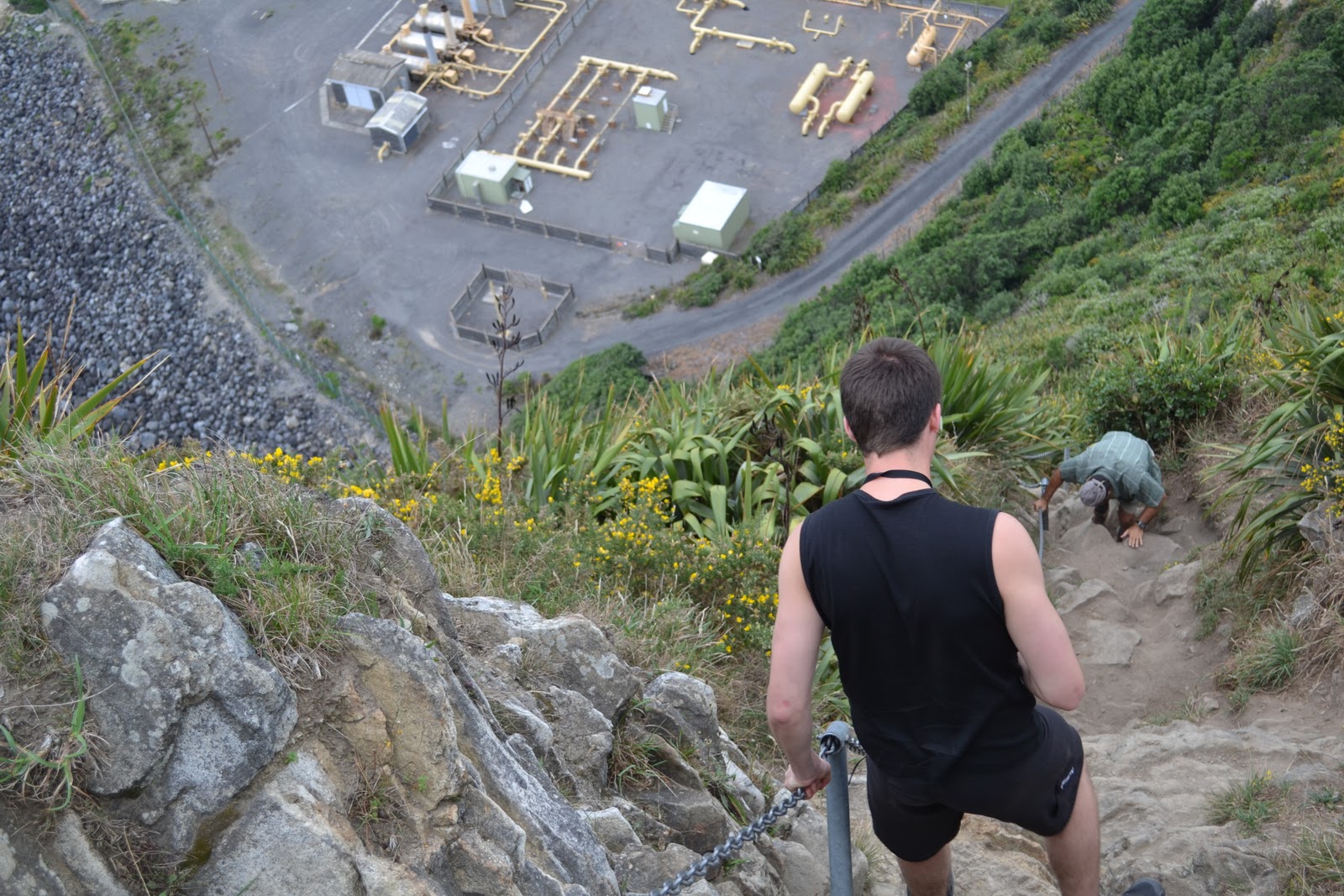 Prairiedogs in New Zealand: Paritutu Rock, Ratapihipihi Track and the Horse