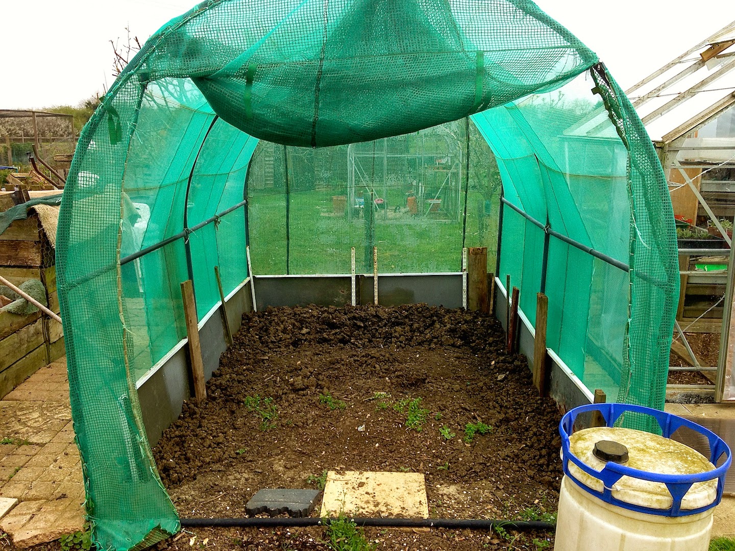 Allotment Heaven: Gardman walk in polytunnel update
