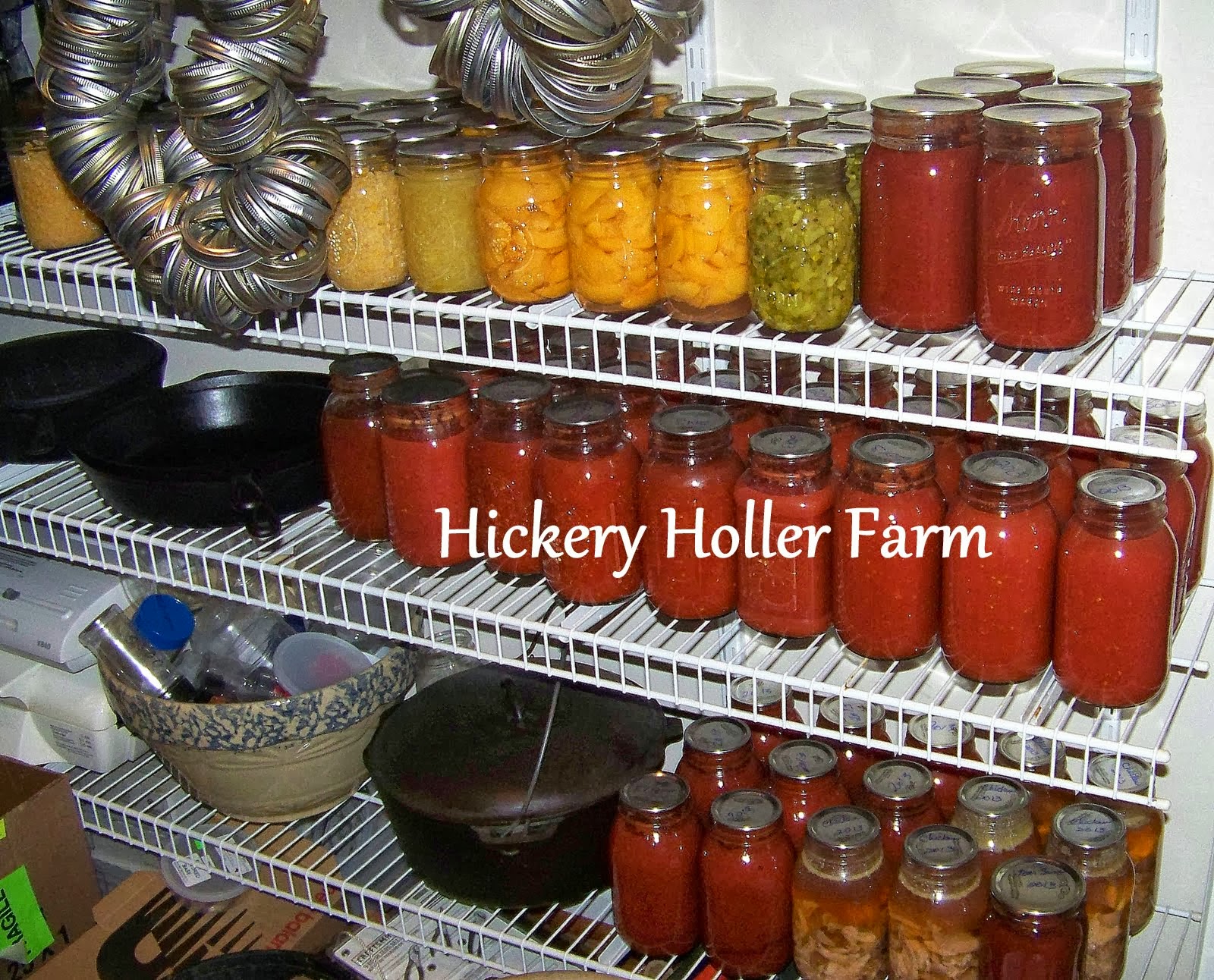 Hickery Holler Farm: Weekly Tally And Farm Update