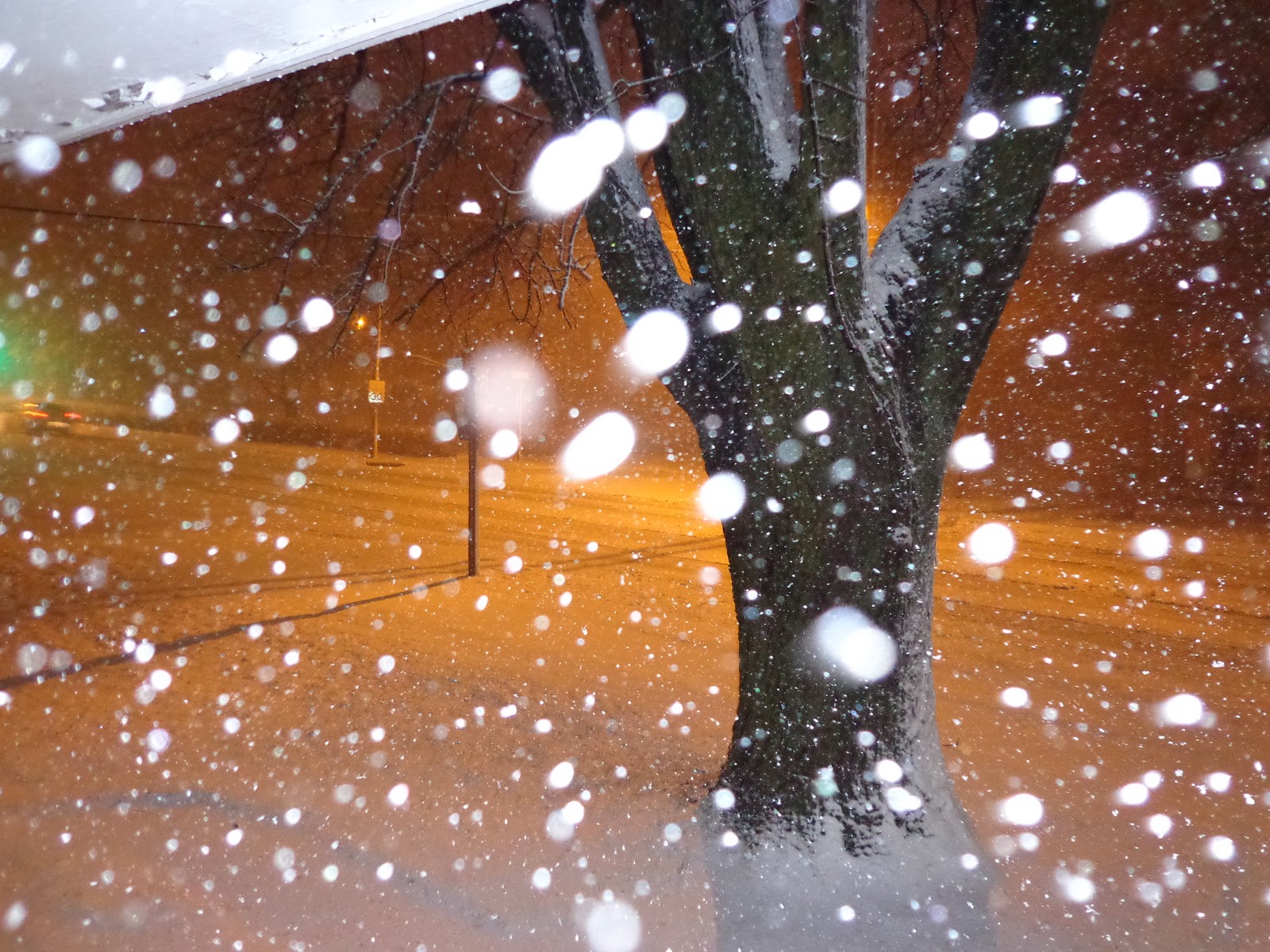 kashi's corner: Three Things, Snow, A Ta Dah and A Granny Rectangle ...