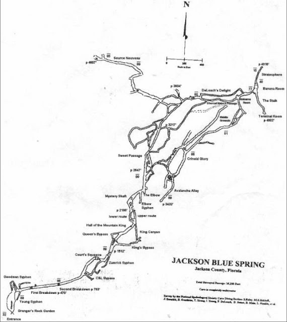 States of Immersion - A Florida Cave Diving Adventure: Our Introduction ...