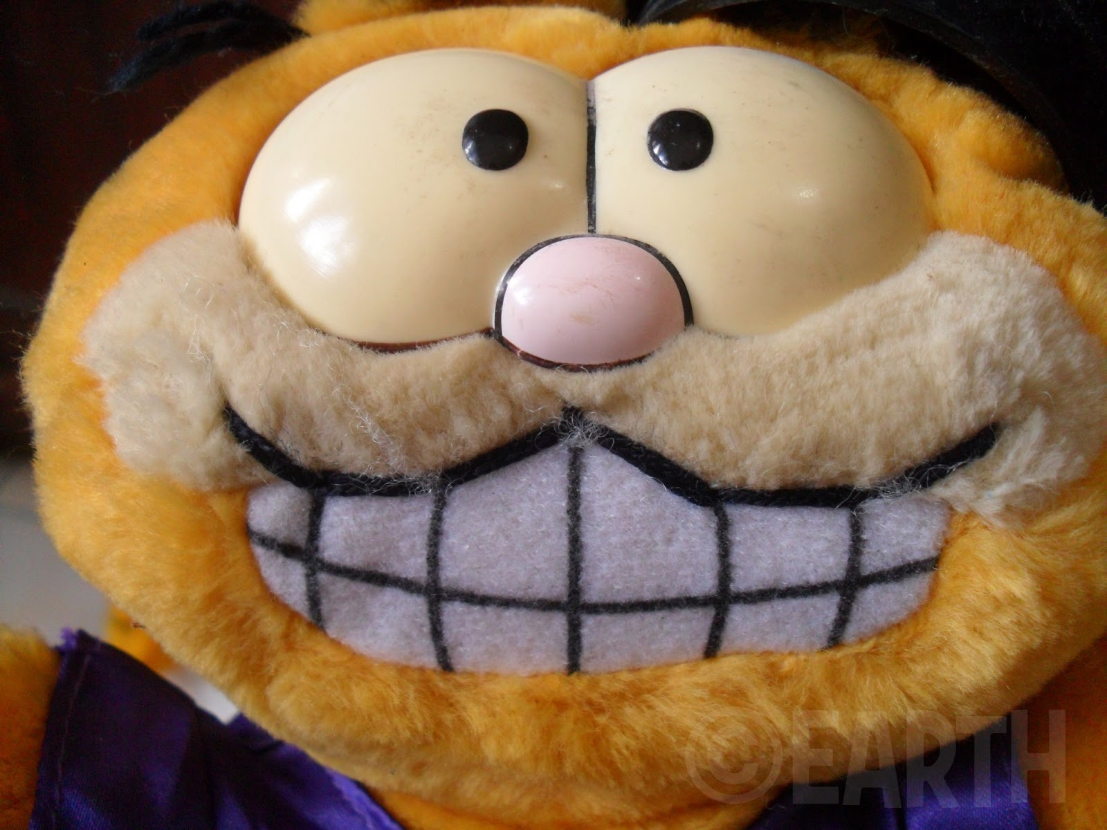 My Garfield Collection: GRADUATED GARFIELD