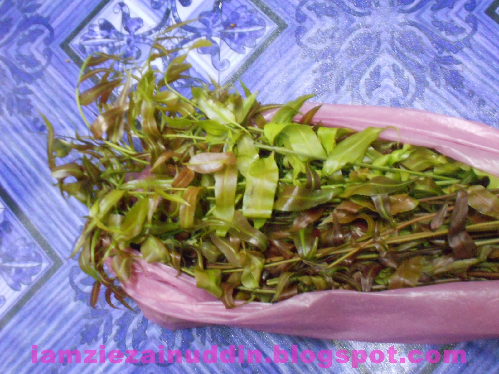 Sora Fazilah: Lemiding-Sabah Traditional Vegetables