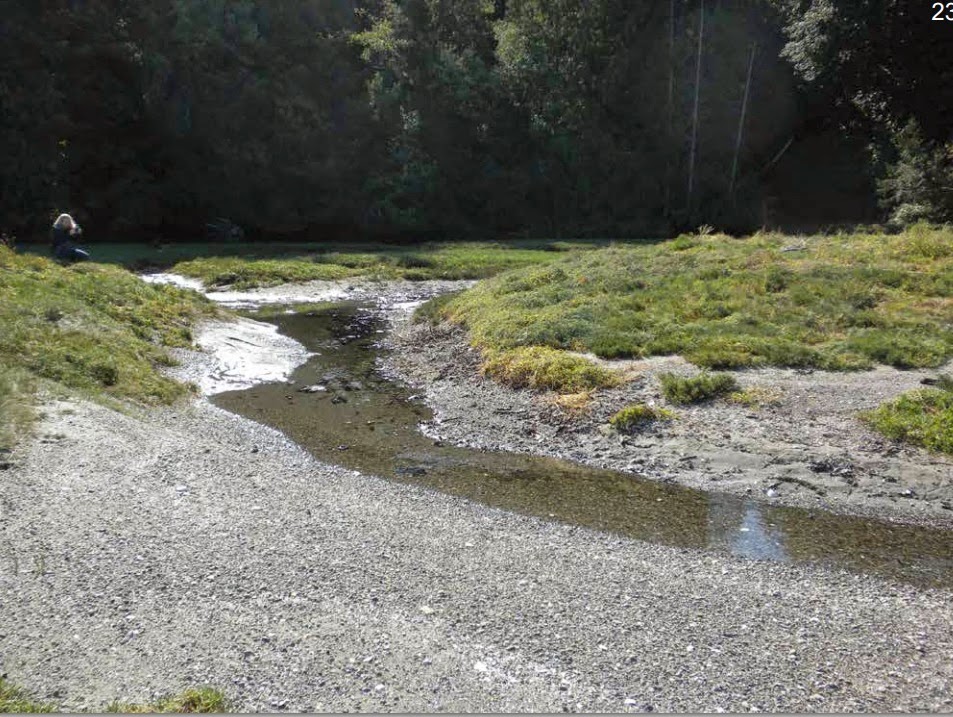 Protect Our Shoreline News: January 28: Fudge Point State Park Public ...