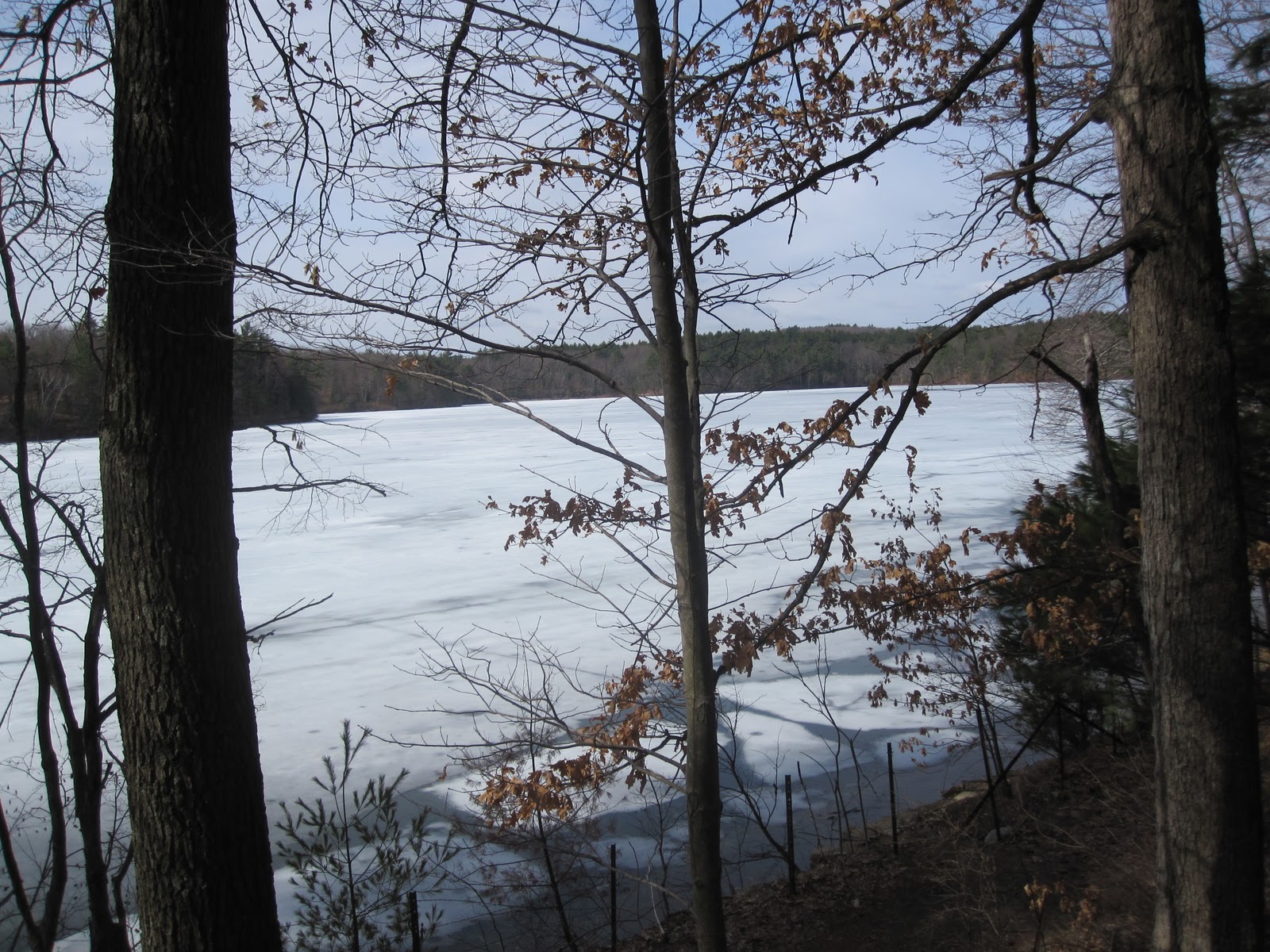 Cannundrums: Walden Pond and Transcendentalism