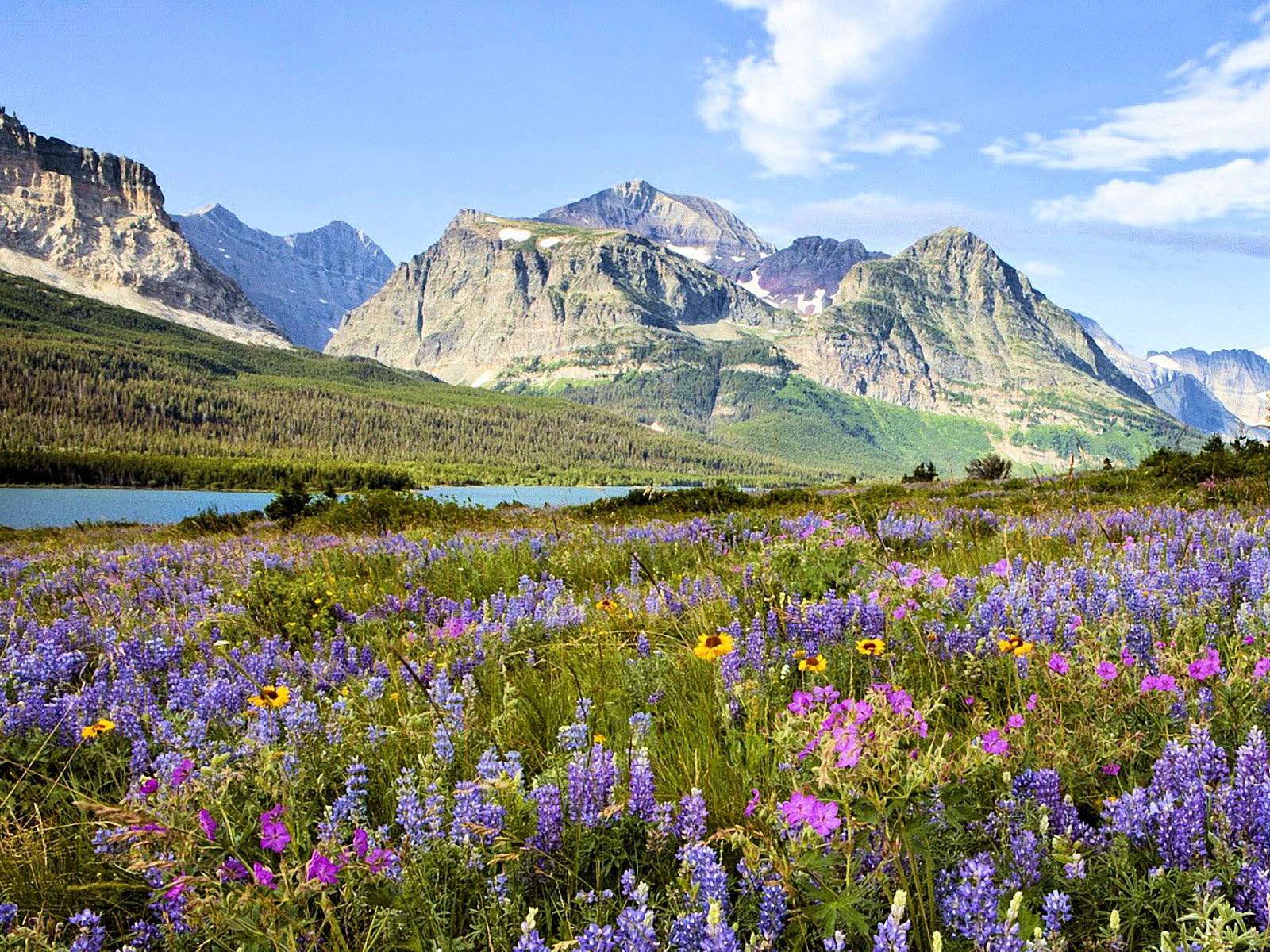 Para perderte... Glacier National Park – Montana USA | aznalfarache