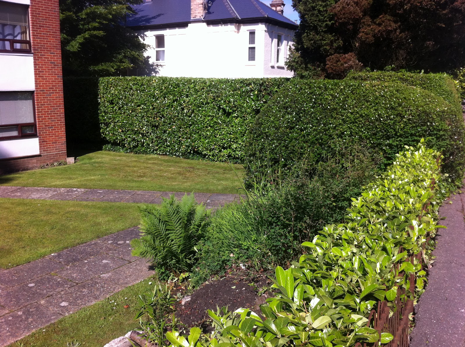 A DAY IN THE LIFE: Tall Hedges & Tall Ships