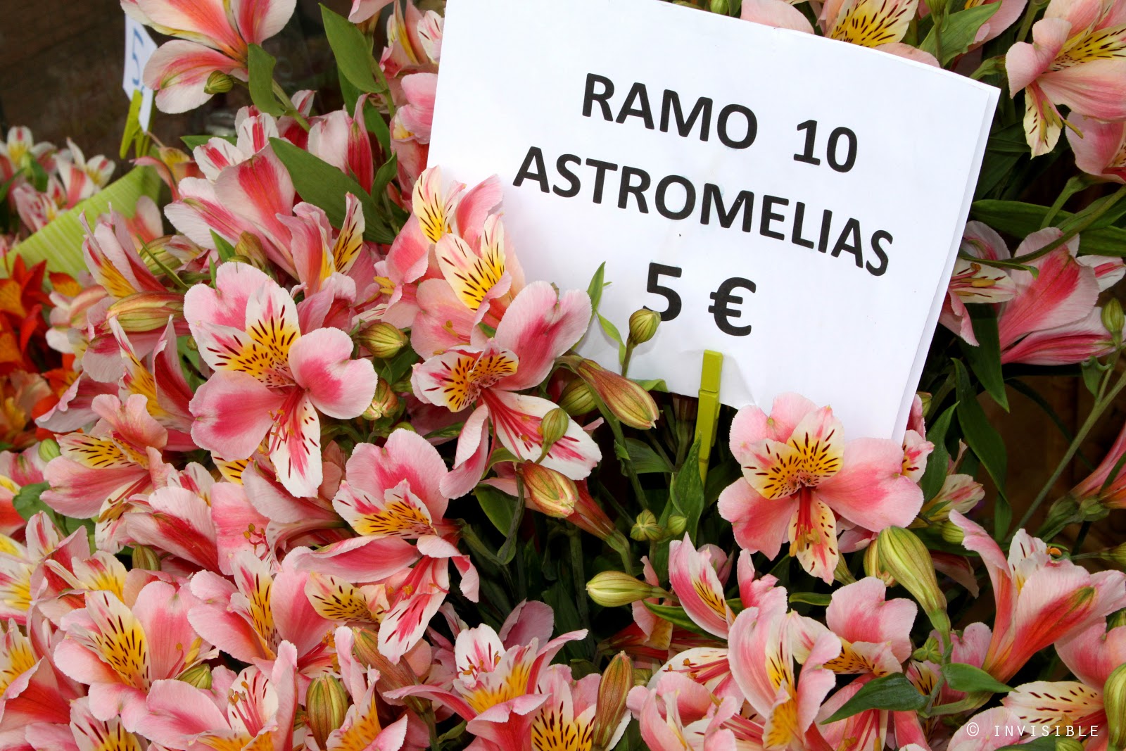 Invisible SLG Photos: Ramo de Astromelias