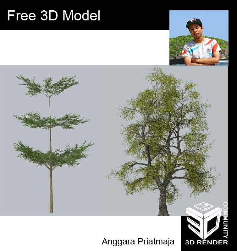 Tree Proxie 3d Model Pohon Ketapang - Sketchup Mania