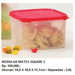 Modular Mates Square 2 ~ Tupperware Bogor Tupperware Bogor