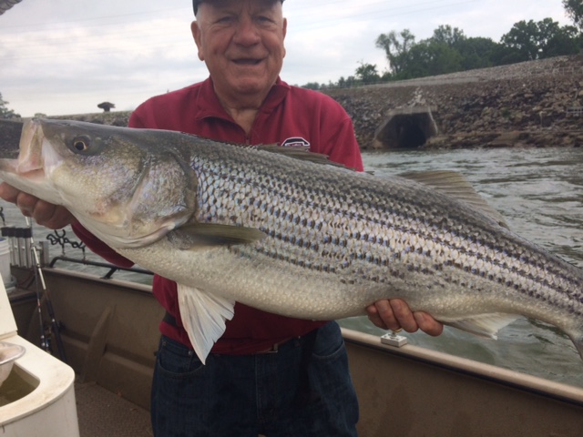 Jakes Fishing Facts: Tennessee River Provides Excellent Fishing