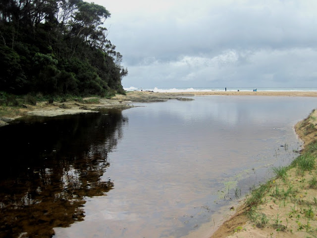 Rosedale ....and Beyond (Eurobodalla) : Rosedale Beach