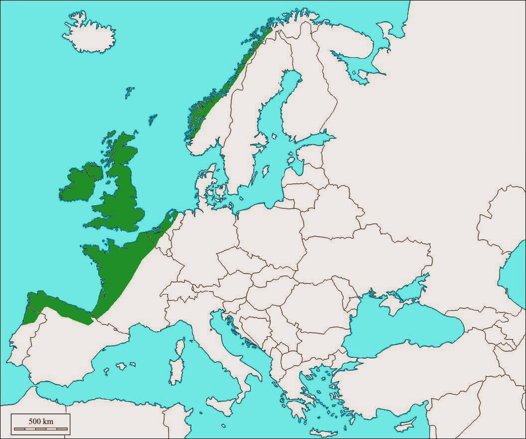 Stecca impara l'arte - ITALIANO PER STRANIERI: 197 - La regione ...