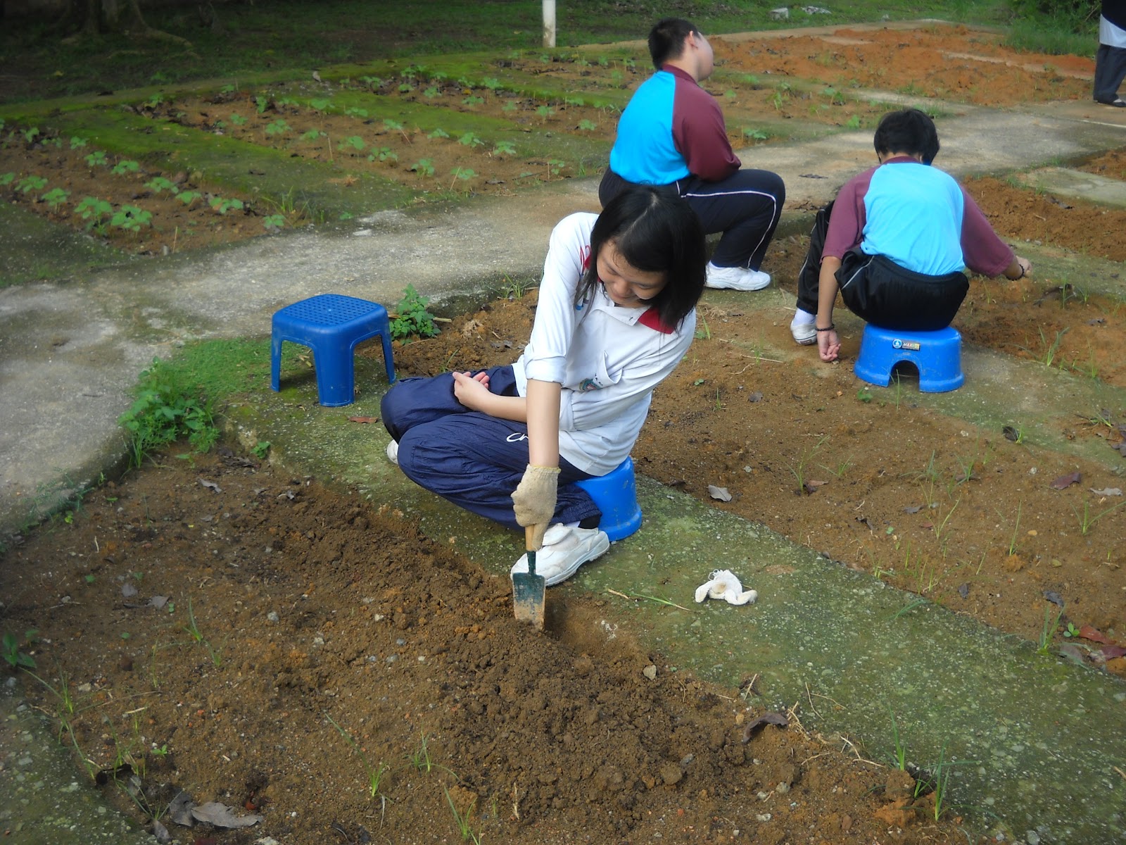 PERALATAN KEBUN DAN KEGUNAAN | Program Pendidikan Khas Integrasi SMK ...
