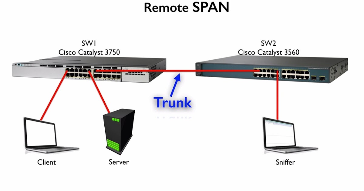 SPAN and RSPAN | Best Cisco CCNA CCNP and Linux/CentOS PDF Notes