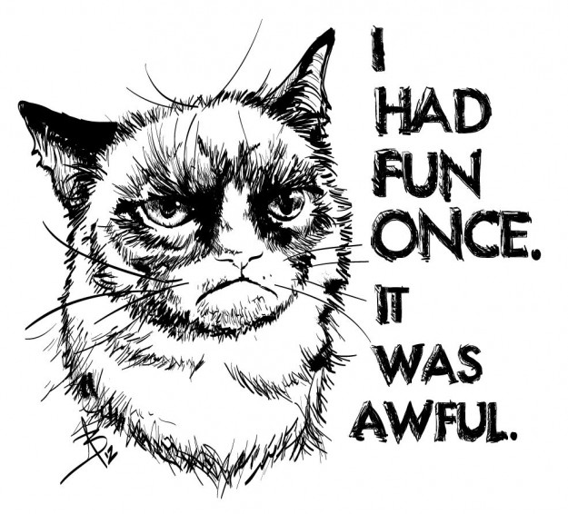 Grumpy Cat I Had Fun Once | Funny Collection World
