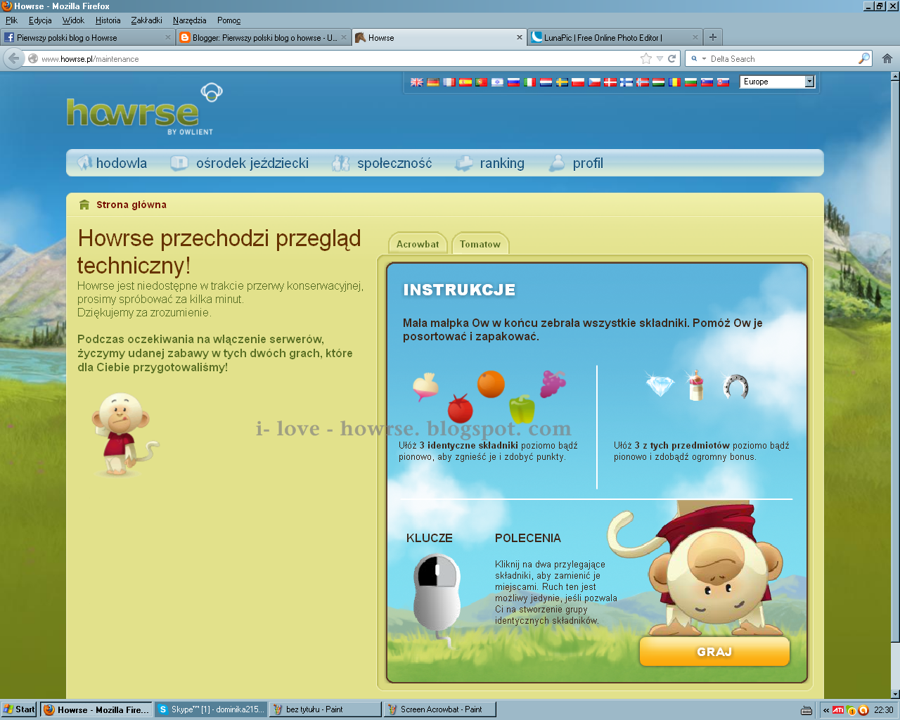 Pierwszy polski blog o howrse: Mini-gry stworzone przez Owlient