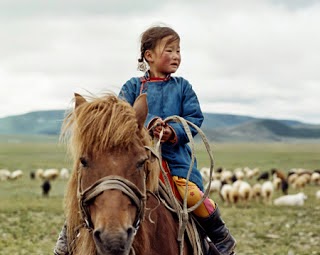 EL BLOG DE ANITA NOIRE: EL PERRO MONGOL