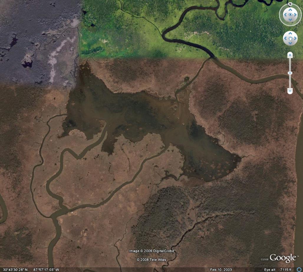 Kayaking the Mobile-Tensaw River Delta: GPS for Kayaking?