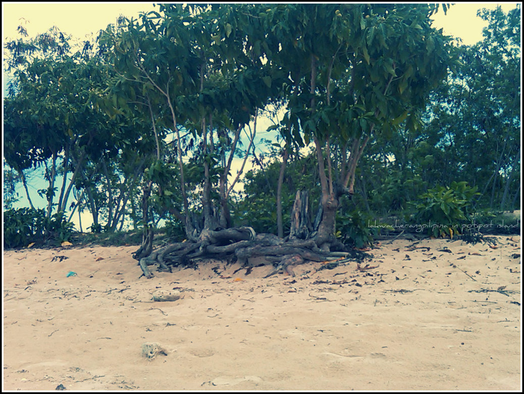 Potipot "The Miniature" Island, Zambales ~ Happy Lakwacha!
