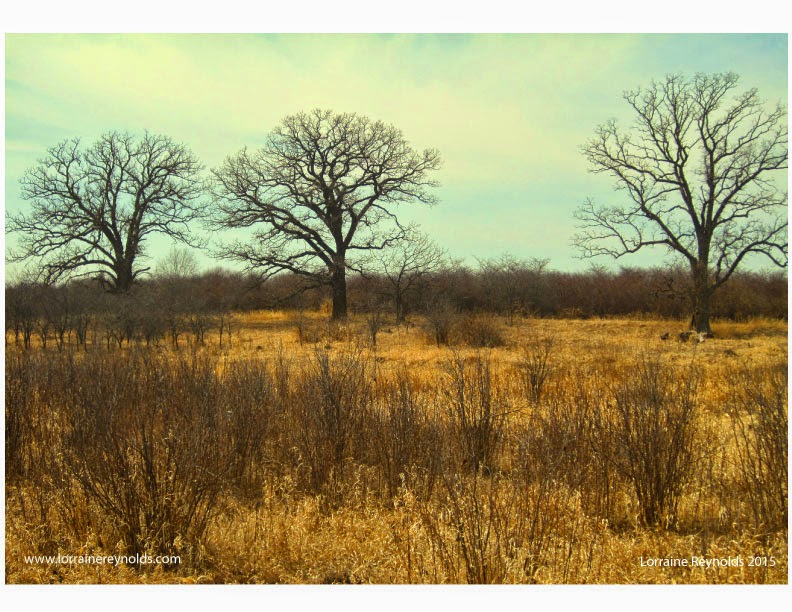 Glimmering Prize: Mixed Media Collage and Assemblage by Lorraine ...