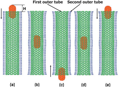 Taiyu Guo| DESMA 9: Art, Science, and Technology
