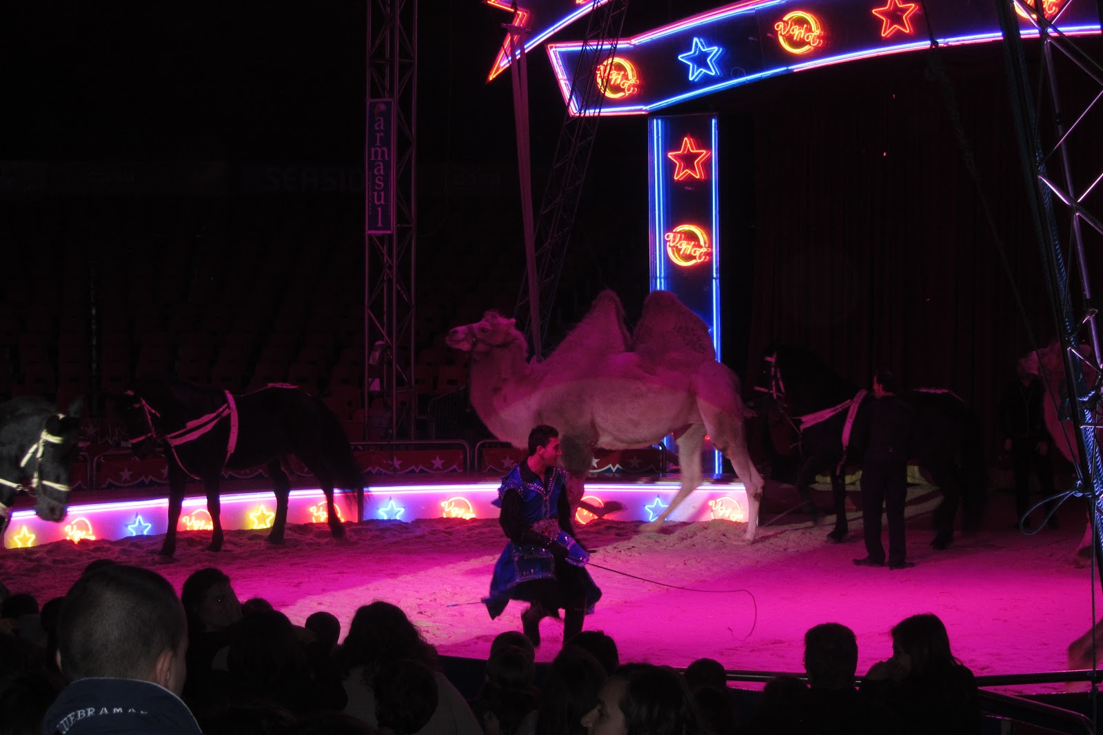 3.º A - Porto Pinheiro: Ida ao Circo Cardinali...