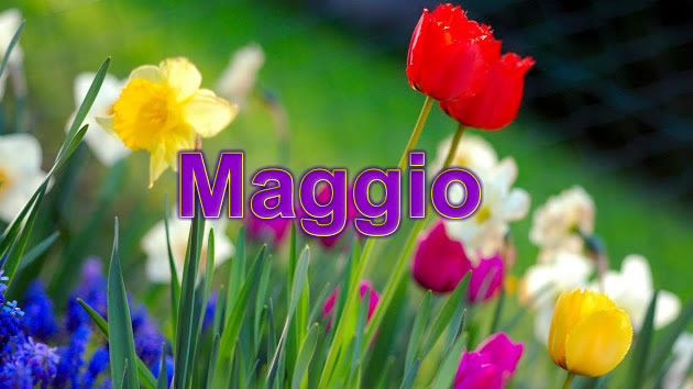 Blog di Cinzia Bois: Proverbi e detti popolari del mese di Maggio ...