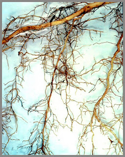 embracing bevin: Stronger Roots