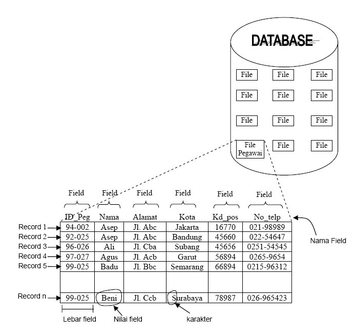 HIERARKI DATA (Data Hierarchy) | Studying and Working