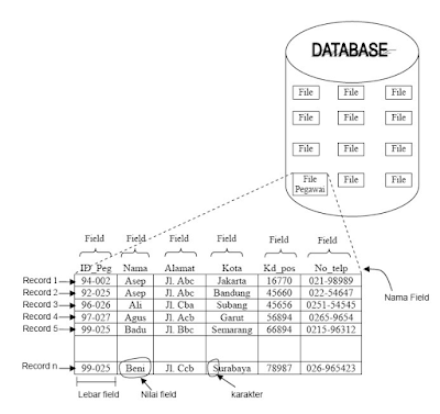 HIERARKI DATA (Data Hierarchy) | Studying and Working