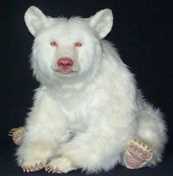A-Z List of 125 Rare Albino Animals [Pics]