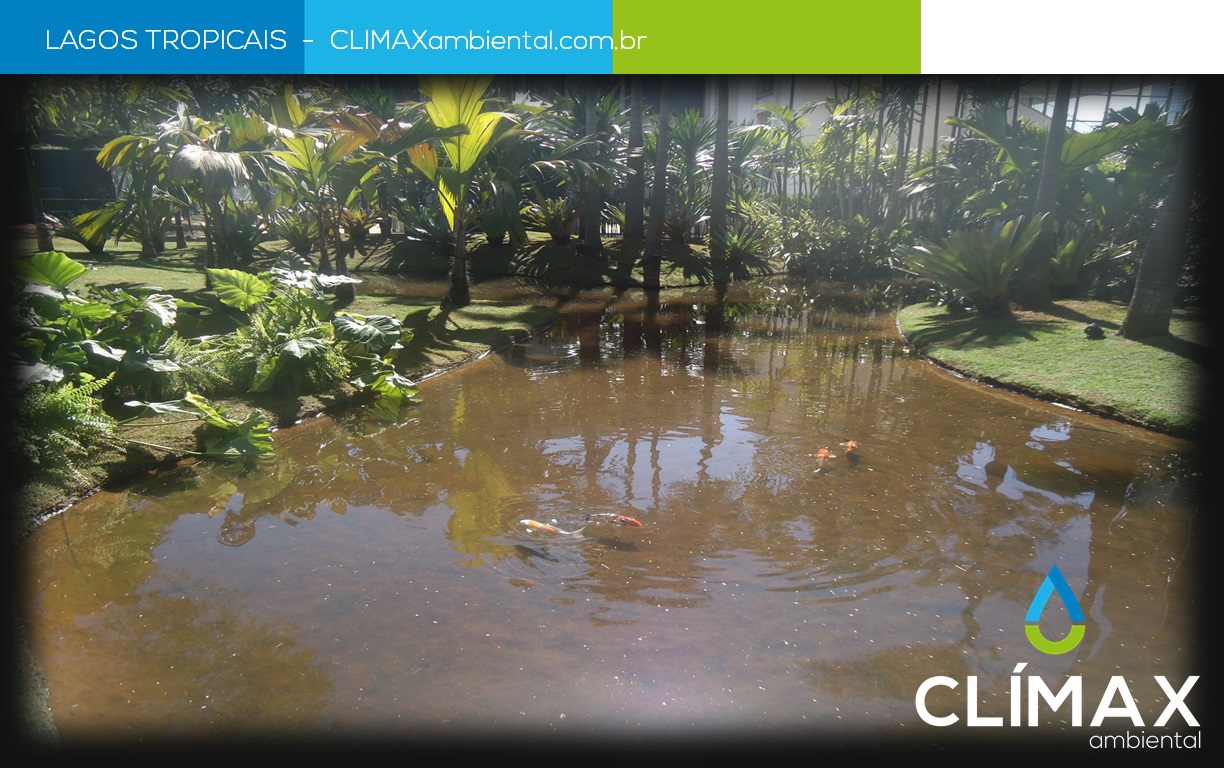 Lagos Ornamentais: Filtros Biológicos para Lagos