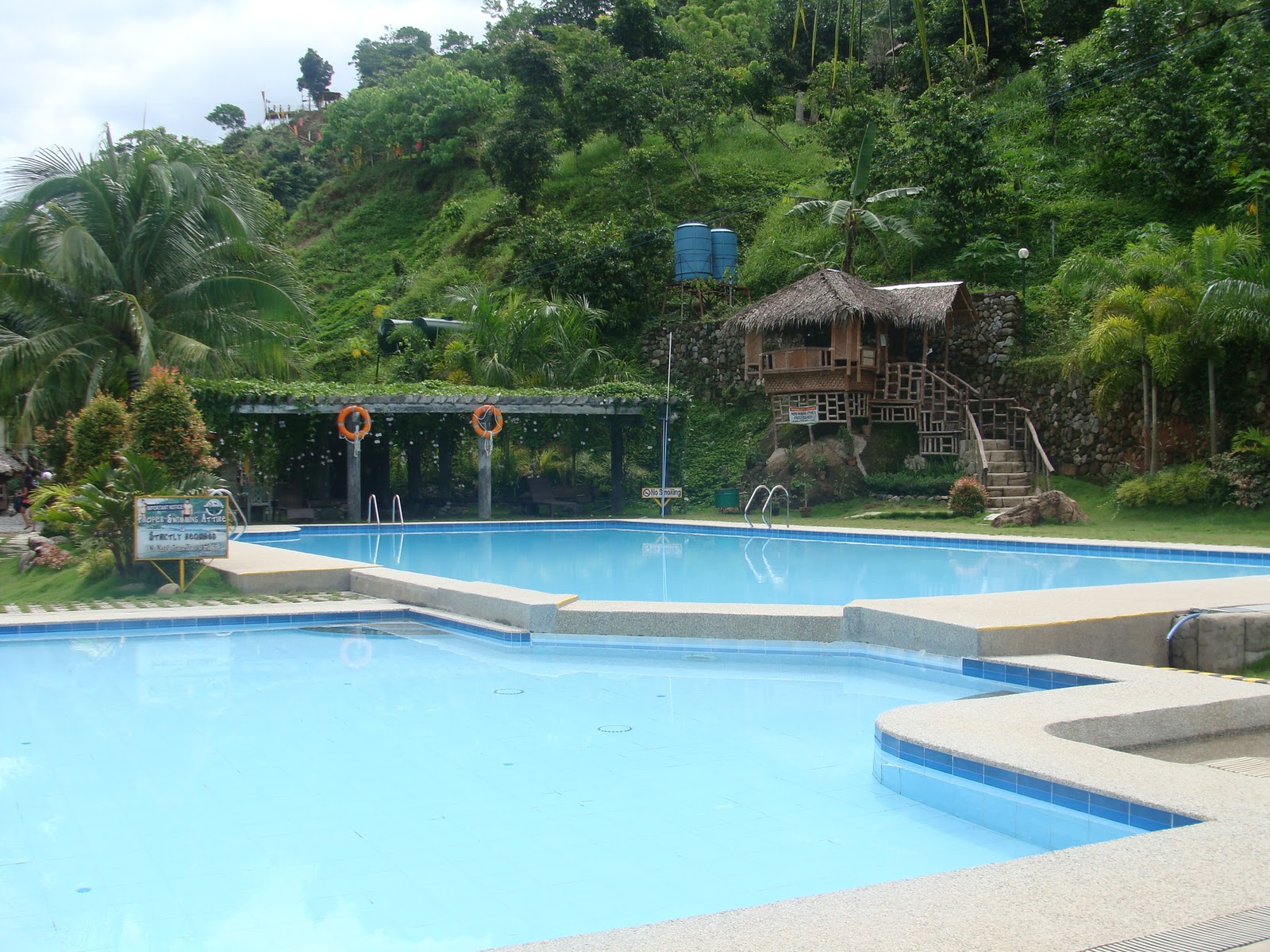 ADHD (Attention-Deficit Hyperactivity Disorder), Adventures in Pugad!