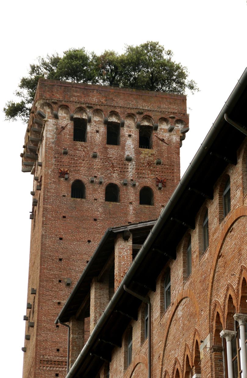 Guinigi Tower Crowned With Oak Trees
