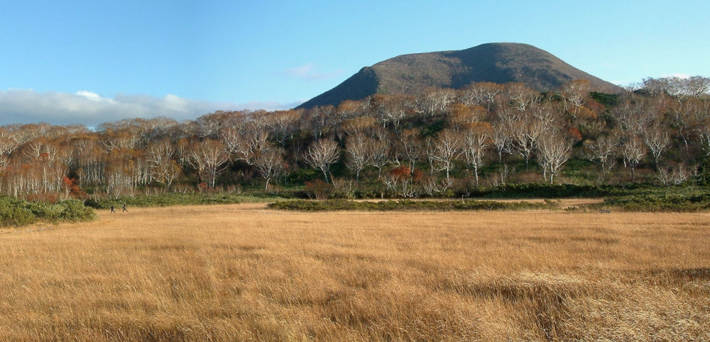 SHOTs rambling Japan: Shinsen-numa Marsh in Niseko (Hokkaido)