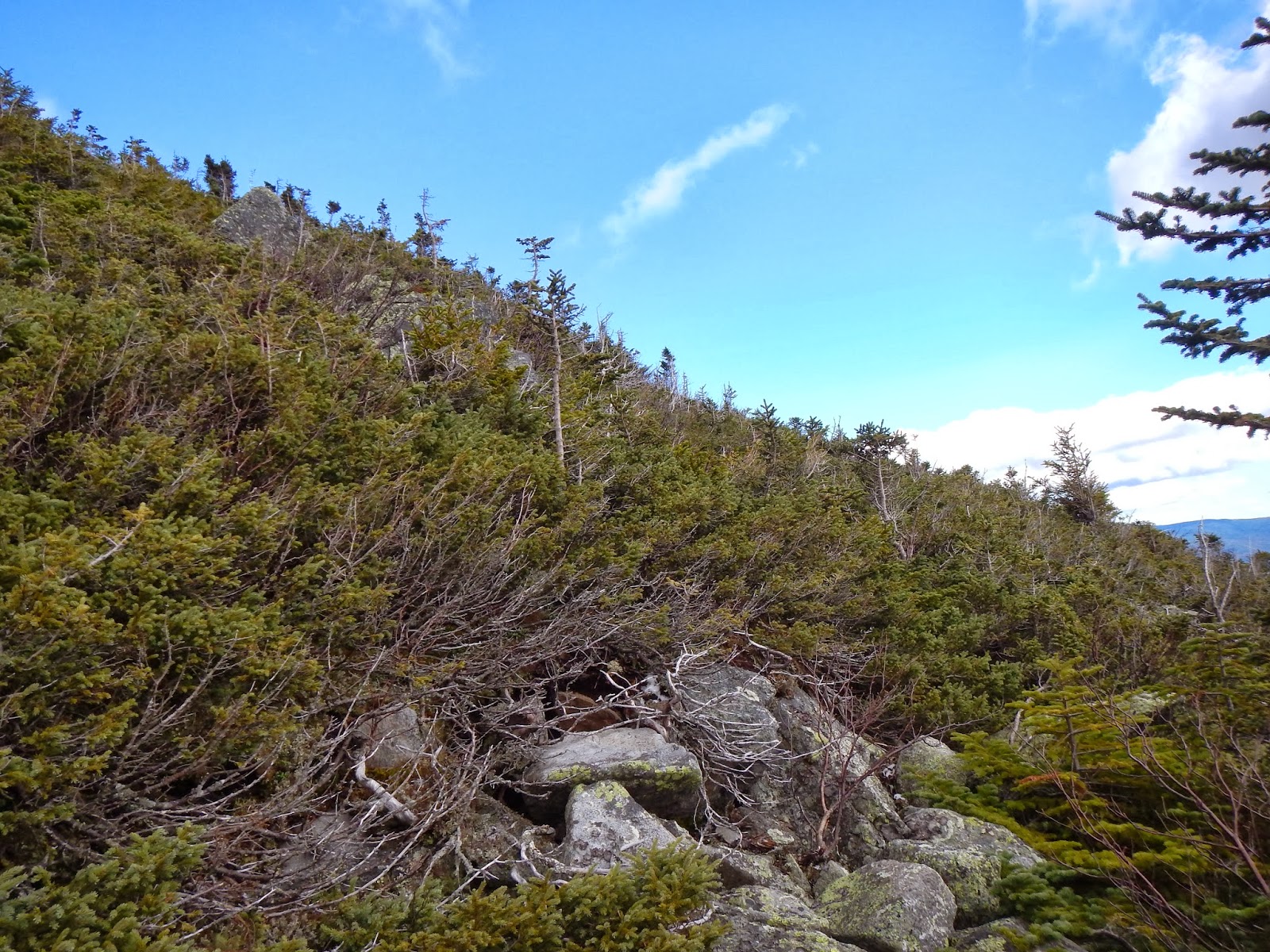 Hitting the Trails: 10/20/2013-10/21/2013 Mount Adams and The Great Gulf