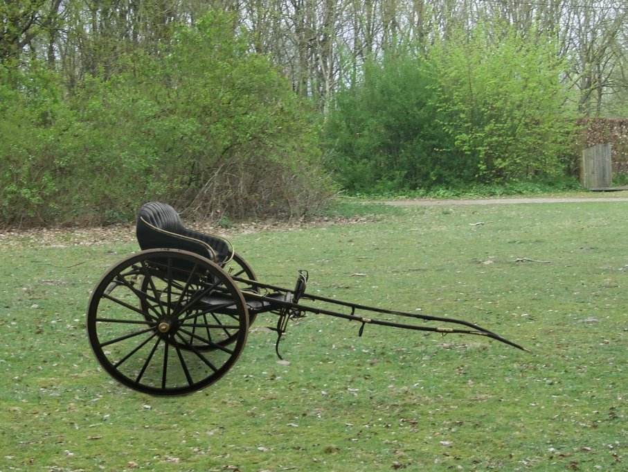 Lady Contessa Pat's World: A sulky!