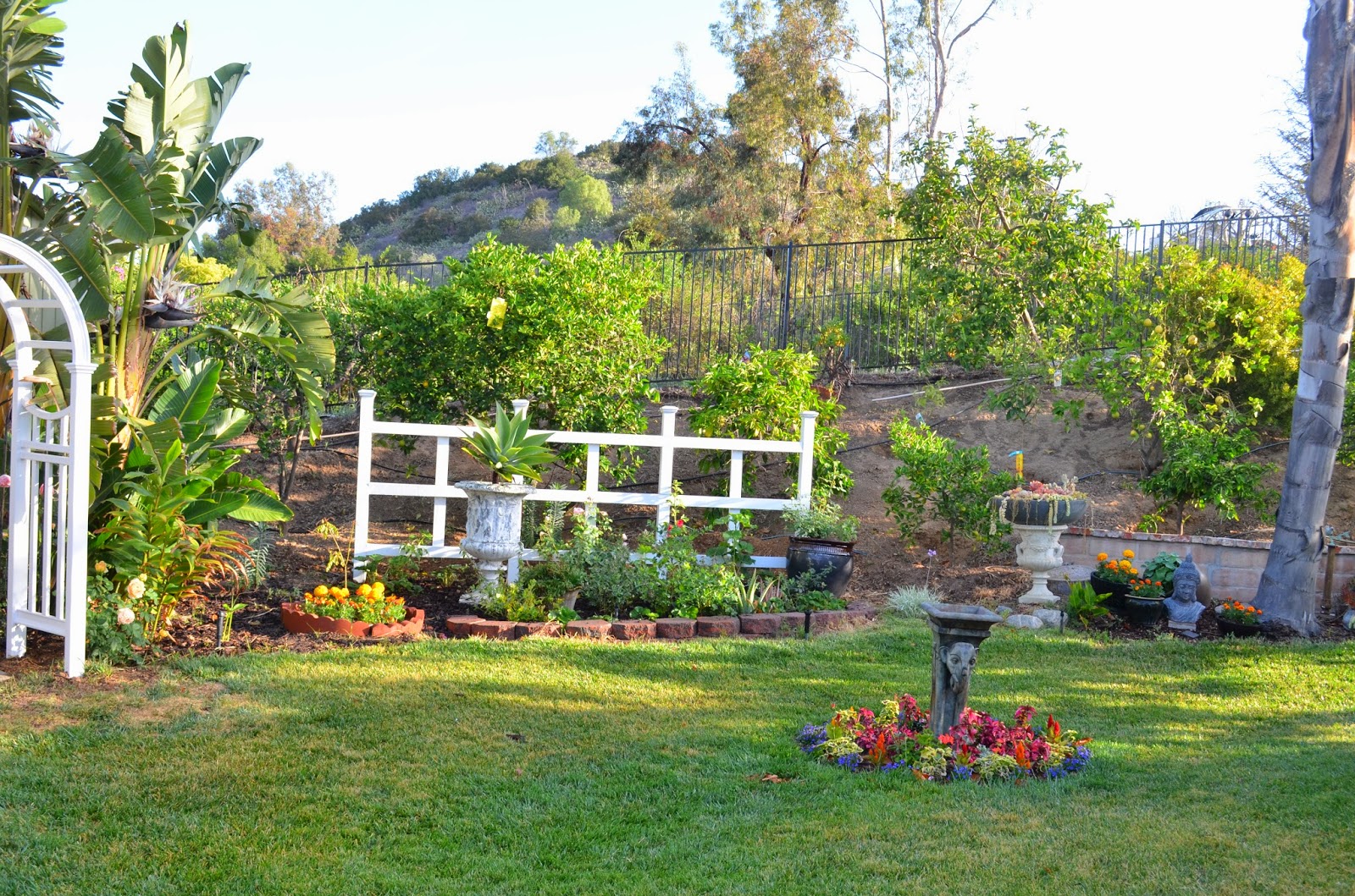 Entertaining From an Ethnic Indian Kitchen: Garden tour 1