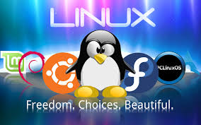 Mengenal apa itu sistem operasi Linux | pujilestari