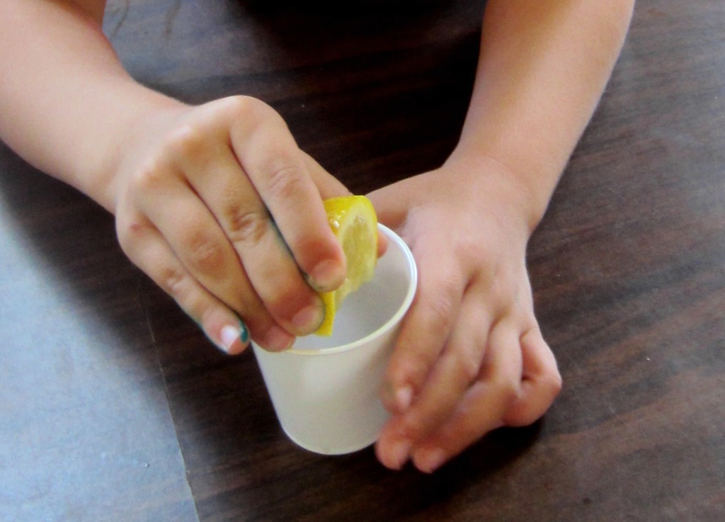 5 Senses With Lemons! | Preschool Powol Packets