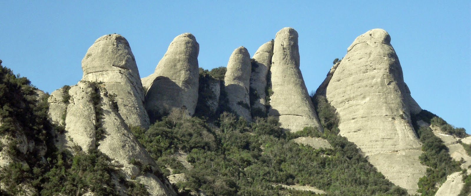 Amunt i avall - El príncep de les maduixes