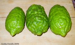 AMAZING BANGLADESH: SHATKORA : THE POPULAR RECIPE