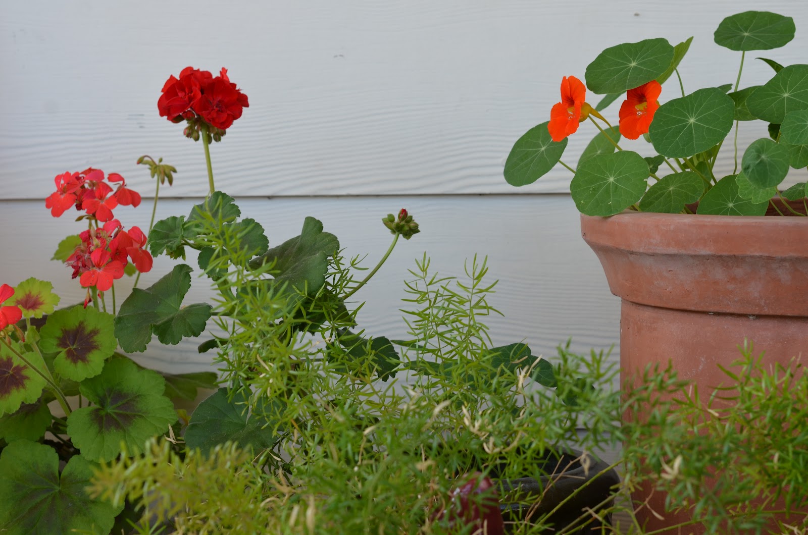 BananaSaurus Rex: May 2012