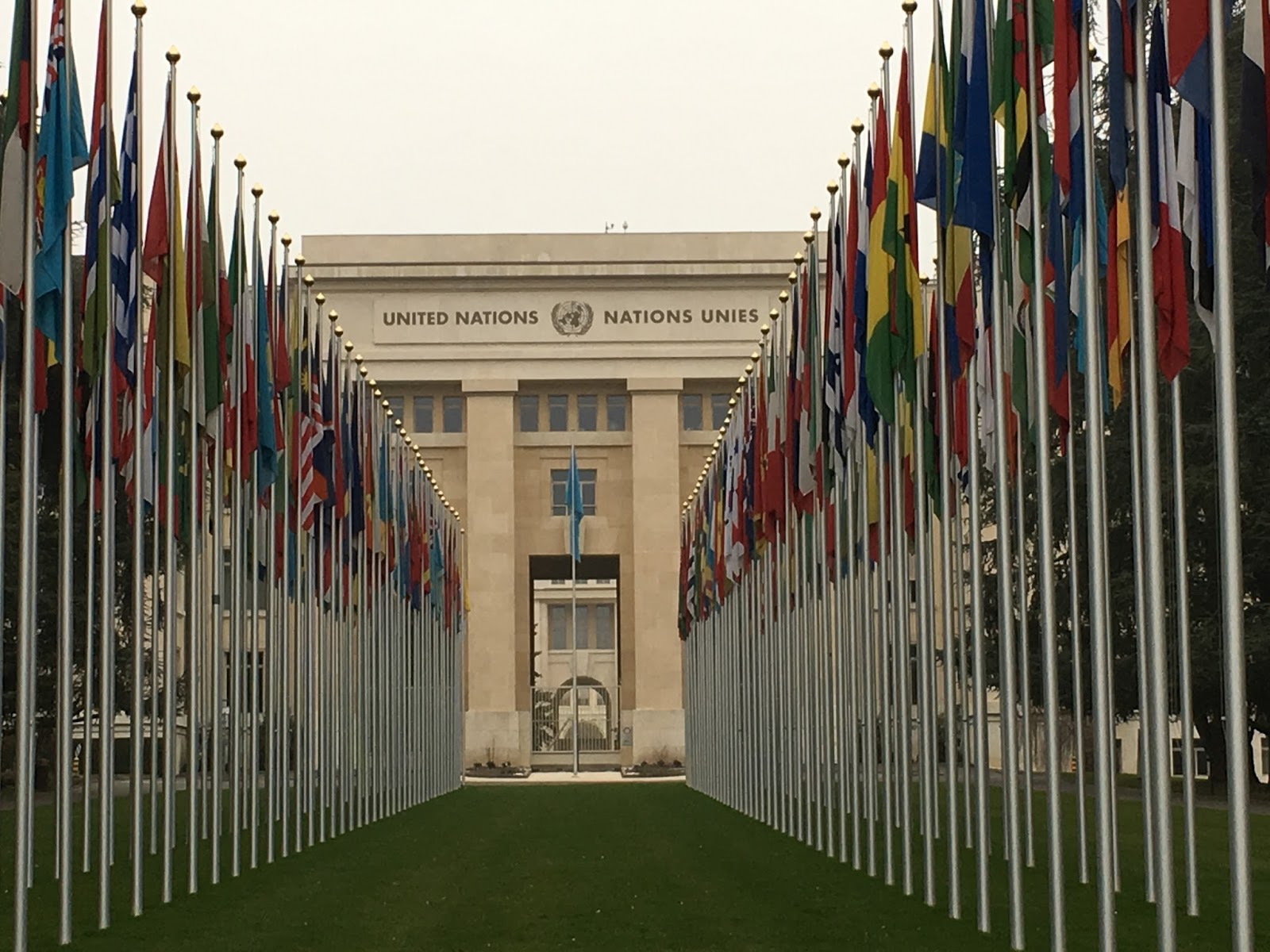 Todo lo que necesita saber sobre la ONU