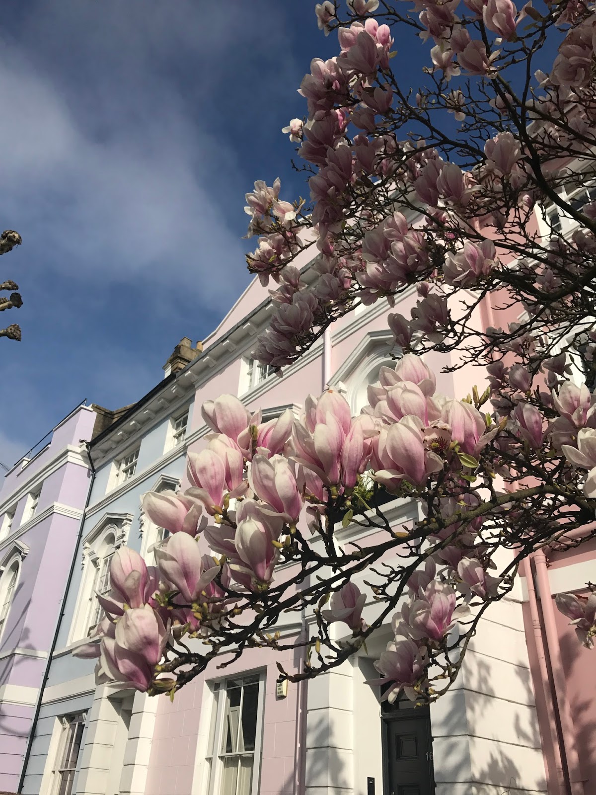 Pretty City London, Spring in Richmond and Primrose Hill - Roses and ...