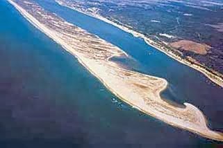Setas y hongos: Paraje natural de las Marismas del Río Piedras y Flecha ...