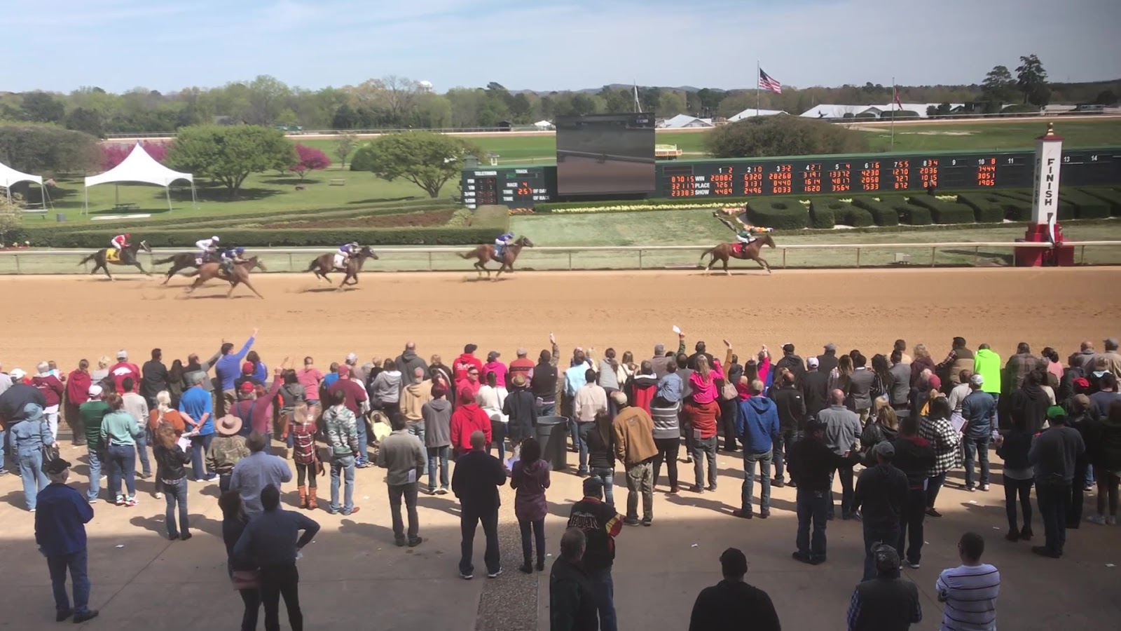 Travel Bug: Oaklawn Park Race Course and Captain Marvel - Sunday, March ...